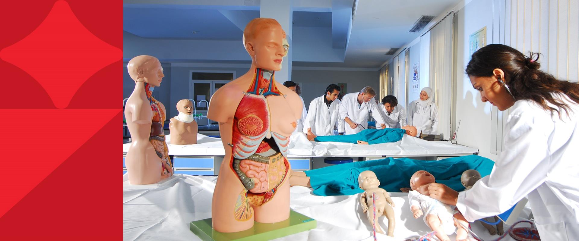 NURSING Faculty News